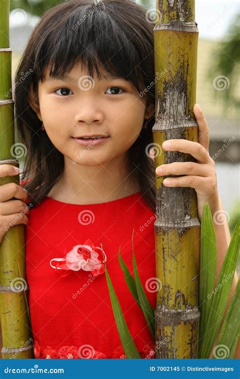 Asiatisches Chinesisches Mädchen Stockbild Bild von lächeln sonnig 7002145