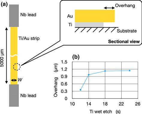 A Schematic Of A Tiau Strip The Inset Schematic Shows A Cutting View