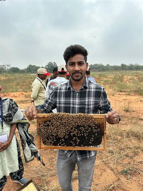Apiculture Training Program Cornell Sathguru Foundation For Development