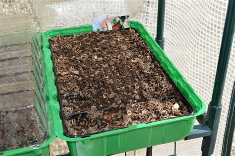 Нашата зеленчукова градинка