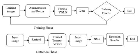Training And Detection Phase Download Scientific Diagram