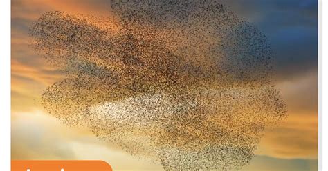 캐디언스시스템 Cae [amesim] 전기 구동 시스템 엔지니어링 문제를 동시에 해결하려면 협력적이고 유연한 생태계가 필요합니다