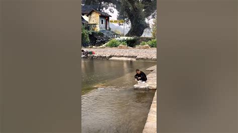 머나먼 고향 나훈아 Youtube