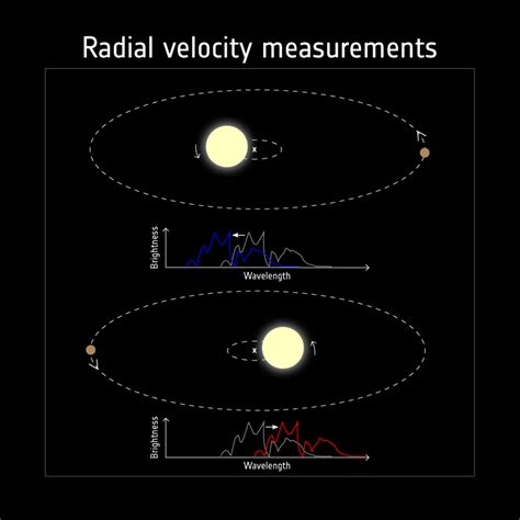 Radial Velocity Exoplanet Diversity SPP