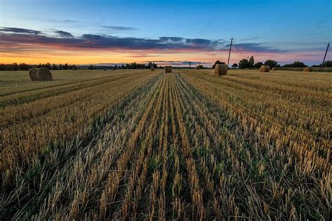 Haystacks On The Field In Autumn Season Plant Stack Farming Photo Background And Picture For