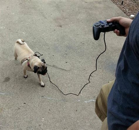 18 Brilliant People Who Are Ninjas Of Problem Solving Bright Side