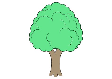How To Draw A Tree Step By Step EasyLineDrawing