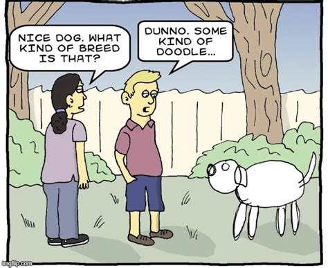 Doodle Imgflip