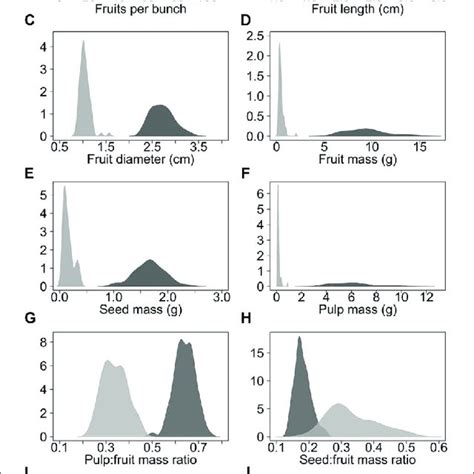 Density Curves Of The Variation Of The Morphological Characteristics Download Scientific