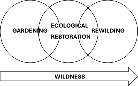 De Extinction And Rewilding