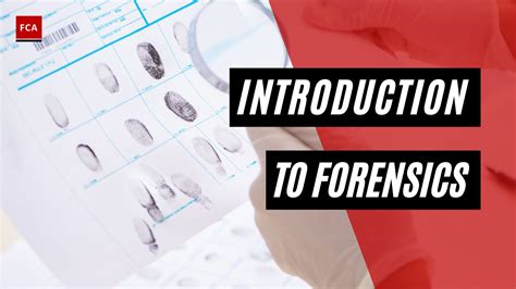 Uncovering Fraud Techniques Detection And Prevention Strategies