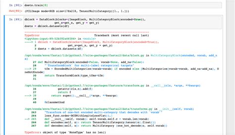 Multilabel Question On Encoding Fastai Dev Fastai Course Forums