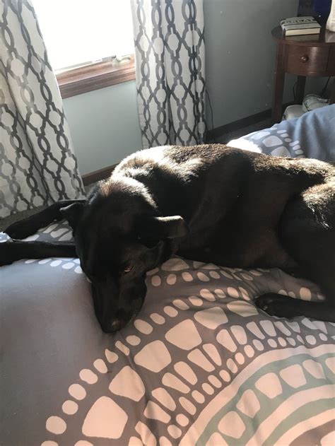 Relaxing Roxy Roxy Lazy Sunday Relax