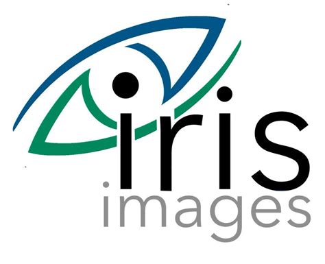 Jody Parmann On Linkedin Irisphotography Porthuron Eyeart