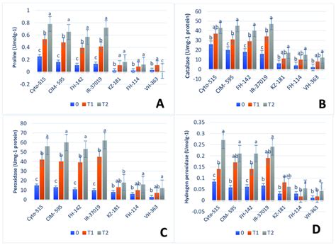 Effect Of Drought Stress On Biochemical Traits Of Drought Tolerant And