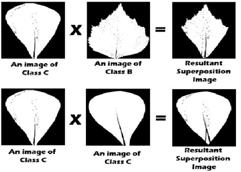 Resultant Images After Binary Superposition Download Scientific Diagram