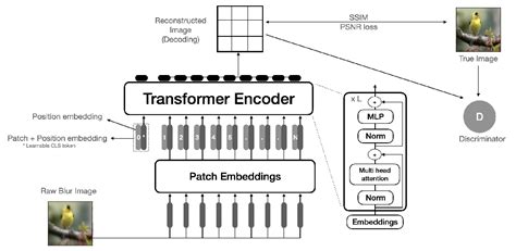Image Reconstruction Using Enhanced Vision Transformer Paper And Code Catalyzex