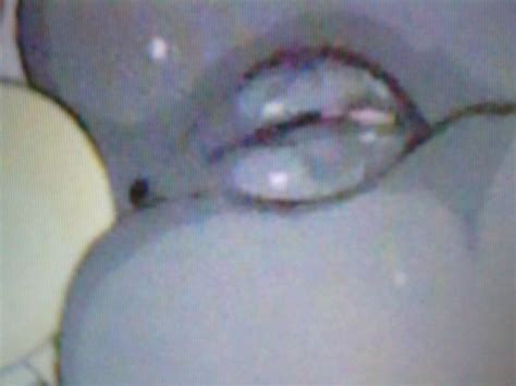 Post 1612154 Delphox Porkyman Post 1612154 Delphox Porkyman