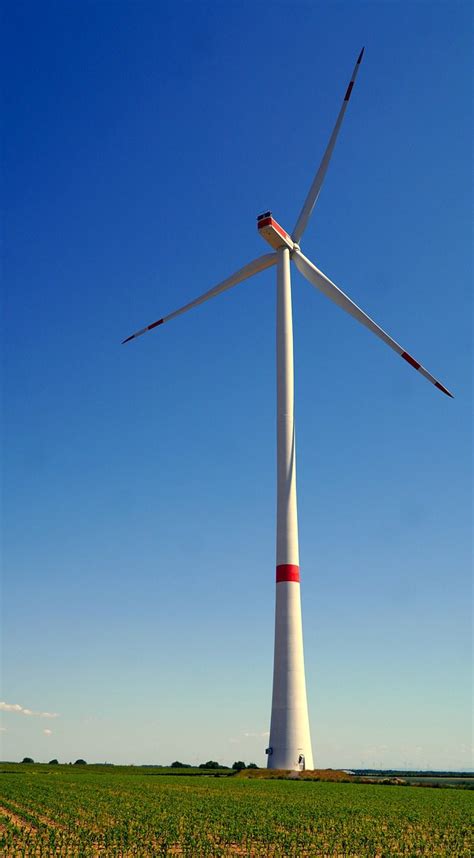 Why Trump Hates Wind Power Try Green For All