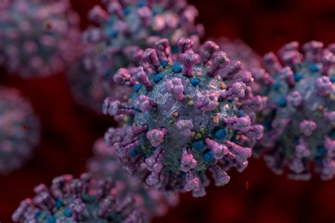 Intrahost Genetic Diversity And Evolution Of The Sars Cov 2 B1517 Lineage During Chronic