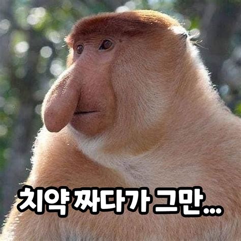 미친유머 빌런들도 개강하겠지 유머짤 짤모음 웃음 웃긴짤 좋아요 웃짤 웃긴모음 유머그램 힐링스타그램 공유 Instagram