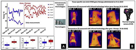 Research Methodology For In Vivo Measurements Of Resting Energy Expenditure Daily Body