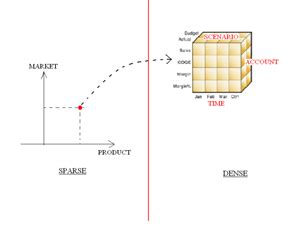 Understanding Dense And Sparse Dimensions Michele Di Nuzzo