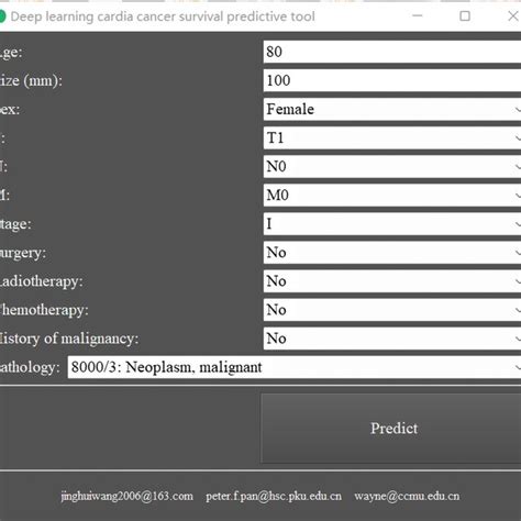 The Interface Of Neural Network Based Prognostic Predictive Tool For