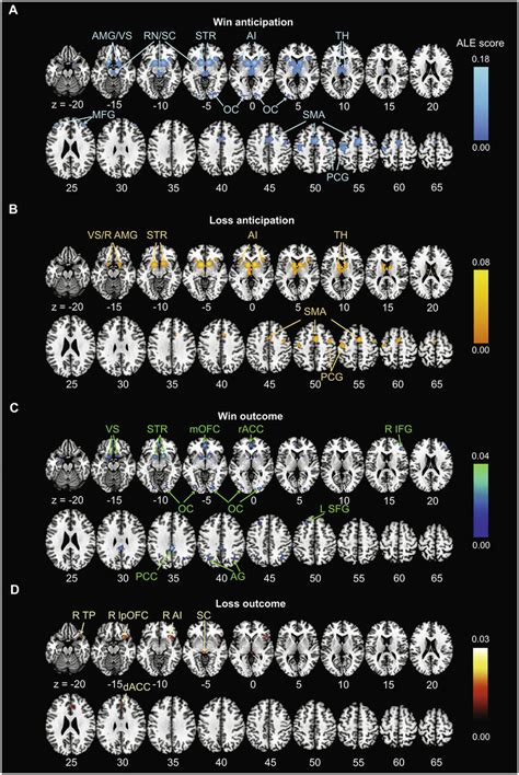 ale single dataset analyses a win anticipation b loss