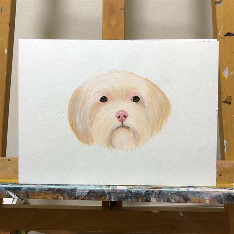 Class101 아크릴 물감으로 그린 사실적인 그림