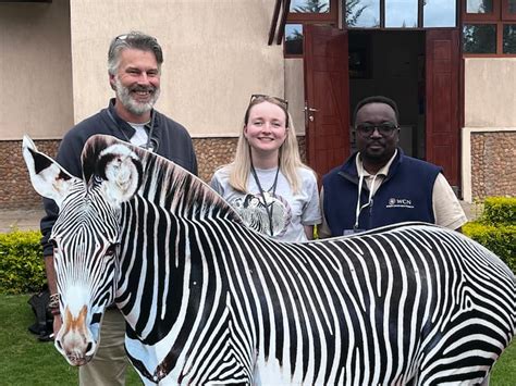 Rachaels Internship With Grevys Zebra Trust And Marwell Wildlife Blog