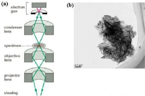 重磅法规发布 《汽车和挂车光信号装置及系统》发布，新增光信号灯投射功能 车灯研究院