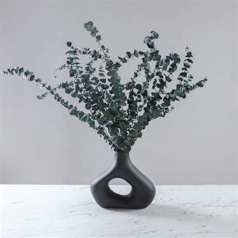 Eucalipt Baby Blue - Greenest Craft comandă online