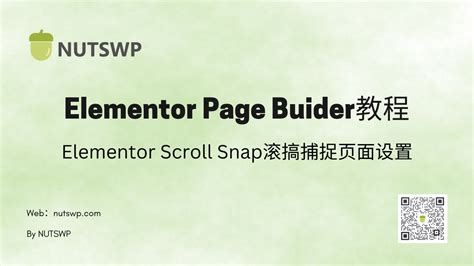 Elementor Scroll Snap实现整屏滚动效果（无需插件） Youtube