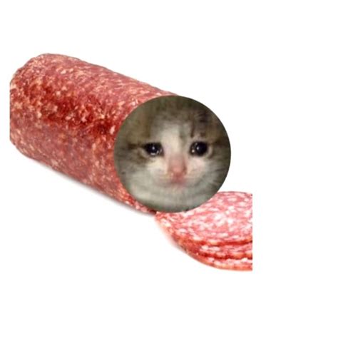 Yes Indeed Cats Can Have A Little Salami 27 Memes