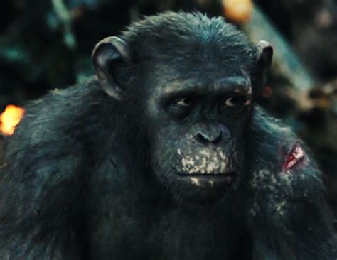 Ash 20th Century Fox And Chernins Planet Of The Apes 20th Century