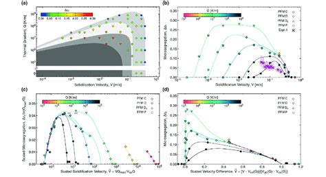 Microsegregation In Directionally Solidified Ti 50 Nb A Morphology