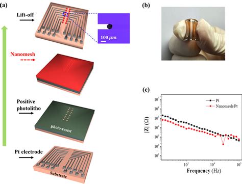 A Schematic Diagram Of The Fabrication Of The Nanomesh Integrated Download Scientific Diagram