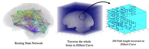 Filling 3d Brain Space With Hilbert Curve To Preserve Spatial Locality Download Scientific