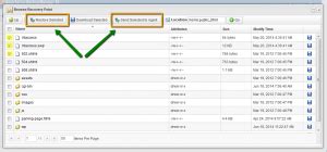 R1Soft Server Backup Manager For Shared Hosting Users