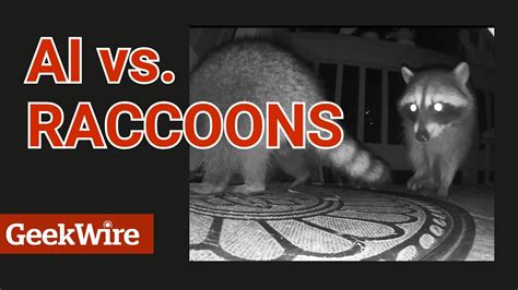 Ai Stops Raccoons From Invading House Youtube