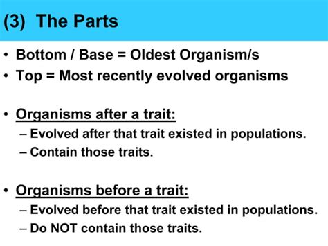 Biology Unit 7 Evolution Phylogenetic Tree Notes Ppt