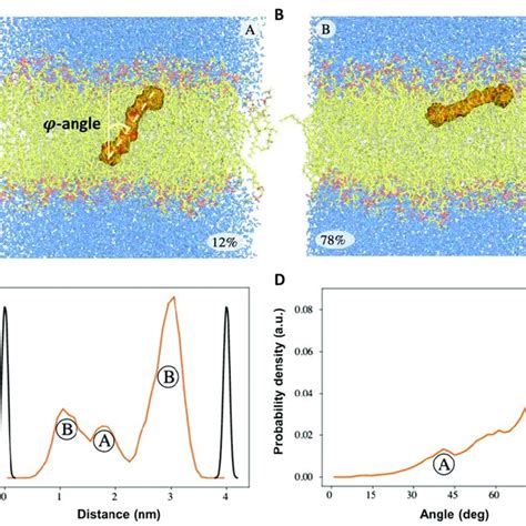 Results Of The Molecular Dynamics Simulations Of Equilibrium Download Scientific Diagram