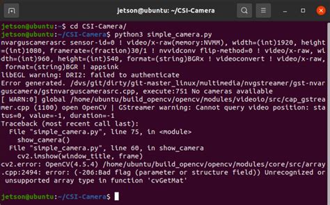 orin jetpack 6 0 no config for imx 219 camera jetson orin nano