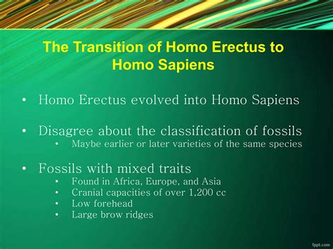 The Culture Of Early Hominids Pptx