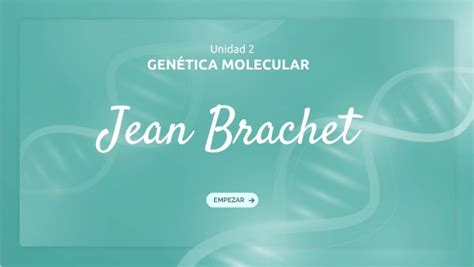 Diapositivas De Brachet