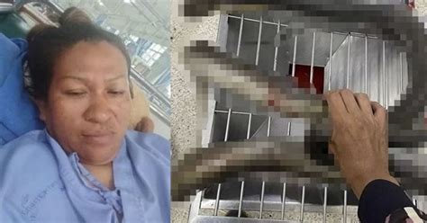 “맨손으로 때려잡아”… 4m 킹코브라와 사투 벌인 태국 女 무슨 사연