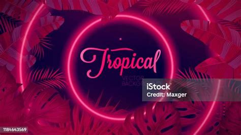 어두운 배경에 미래 그라데이션 자외선 스펙트럼 열대 잎에 빛나는 기하학적 모양 반사 네온에 대한 스톡 벡터 아트 및 기타 이미지