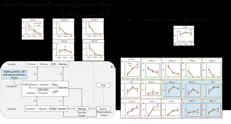 Difference In Gene Expression Of Different Metabolism Pathways A Download Scientific Diagram