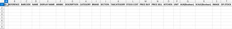 User Guide Bulk Data Import Through Excel